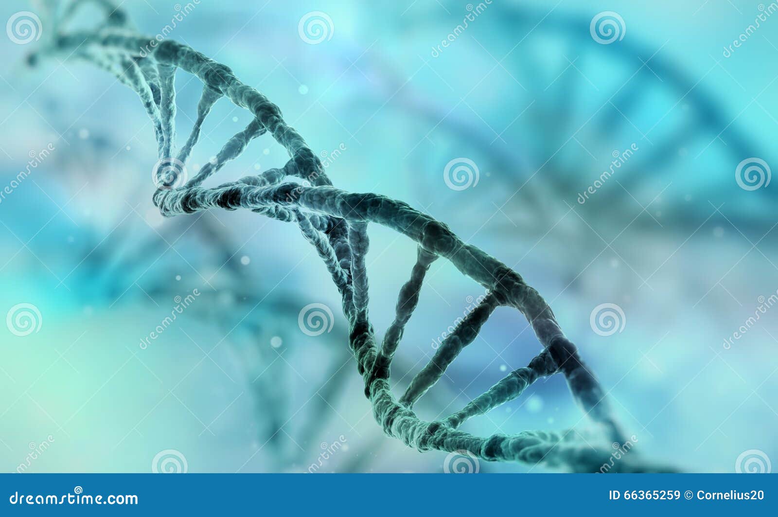 Dna strand stock illustration. Illustration of chain - 66365259