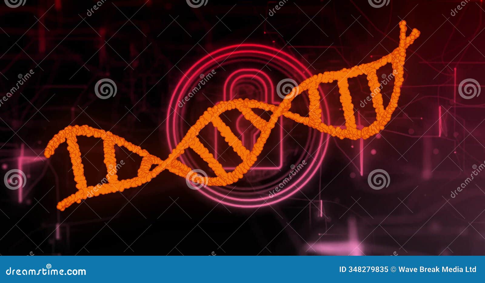 DNA Strand Image Over Digital Lock and Circuit Background Stock Image ...