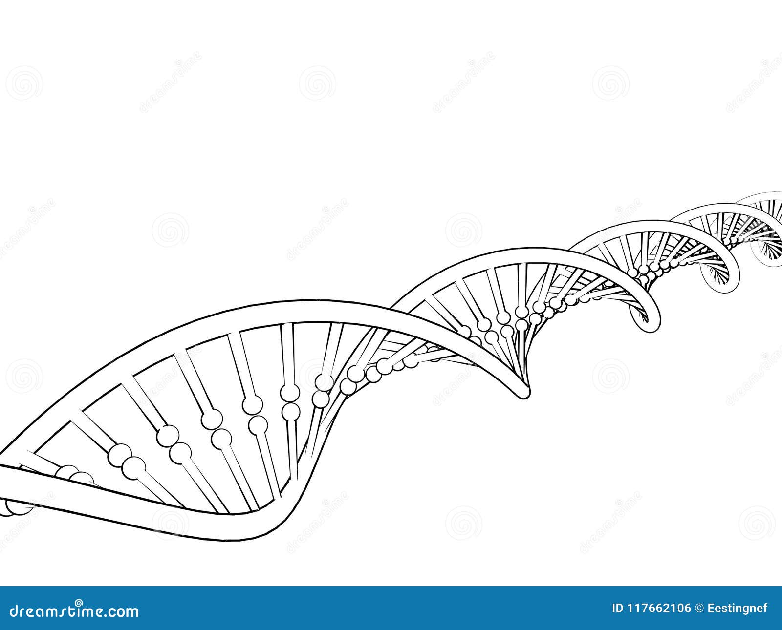 DNA Strand. Isolated On White Background.Sketch Illustration. Stock ...