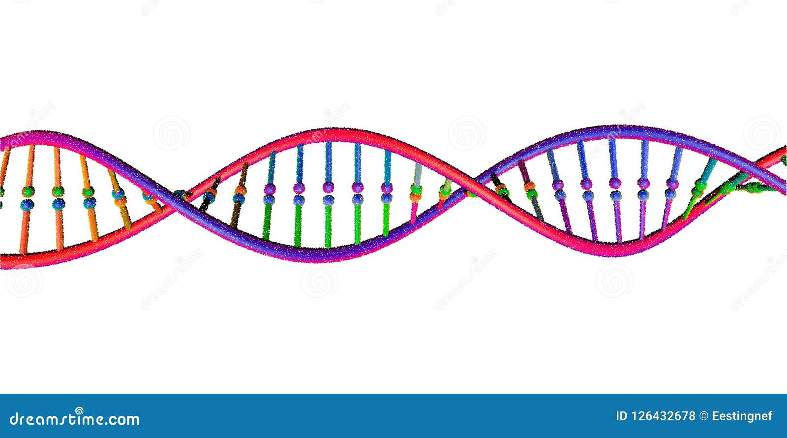DNA Strand. Isolated on White Background. Vector Illustration. Stock ...
