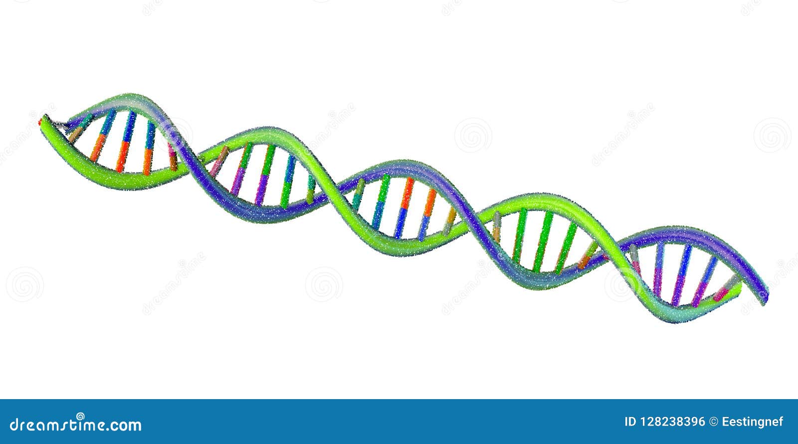 DNA Strand. Isolated On White Background. Vector Illustration. Stock ...