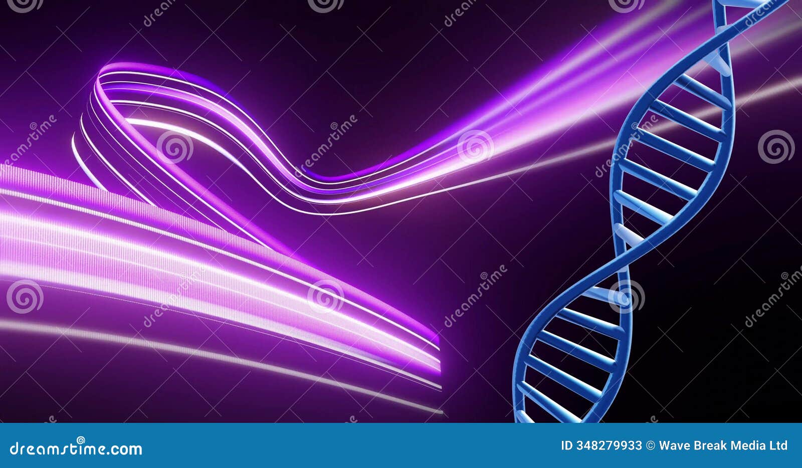 Scientific Image Of Bacteria Citrobacter, Gram-negative Bacteria ...