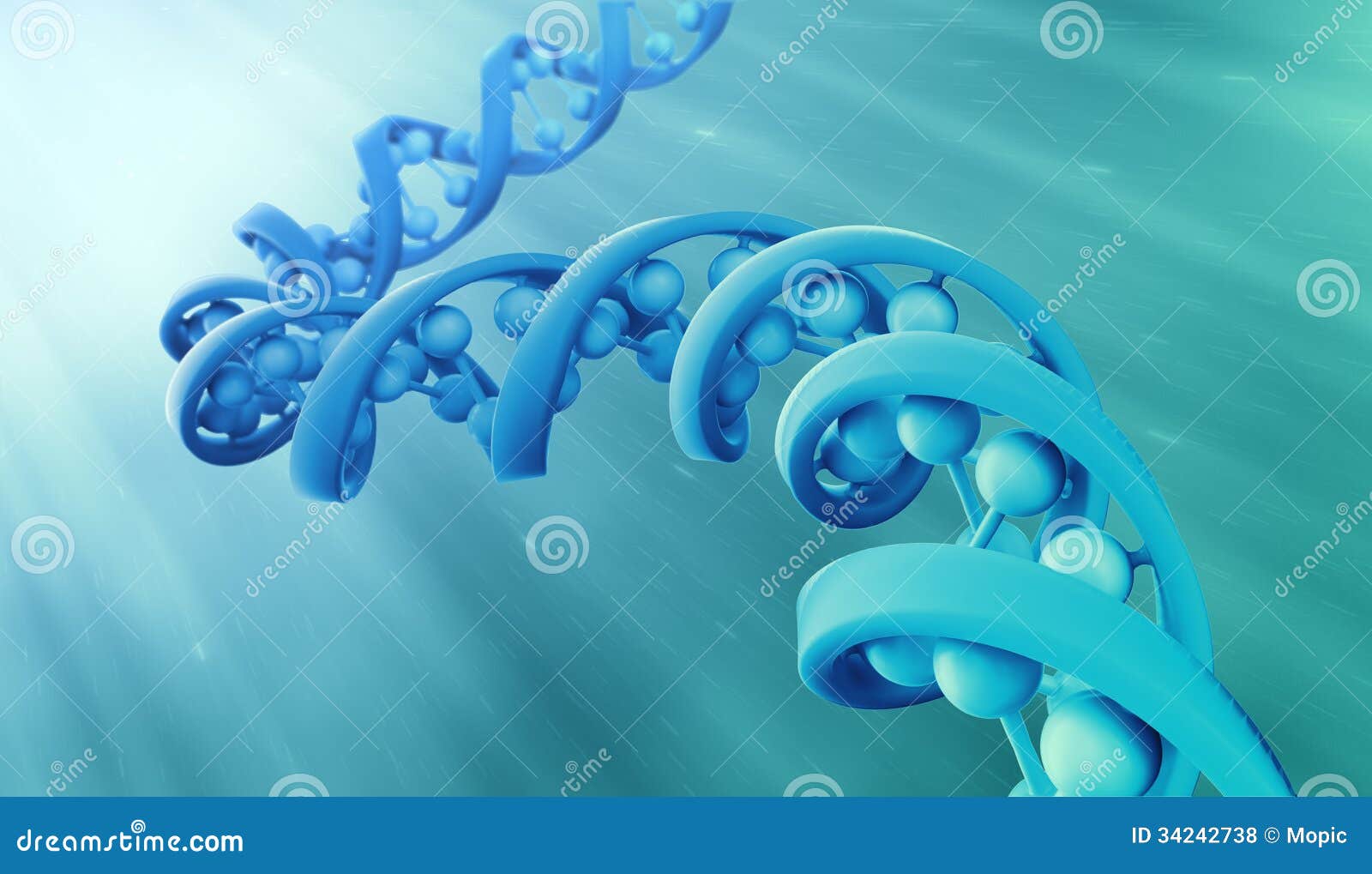 DNA strand model stock illustration. Illustration of biology - 34242738