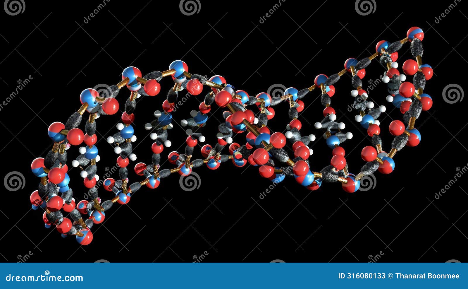 DNA Strand Model with Helix Molecular Structure, Spiral Genetic ...