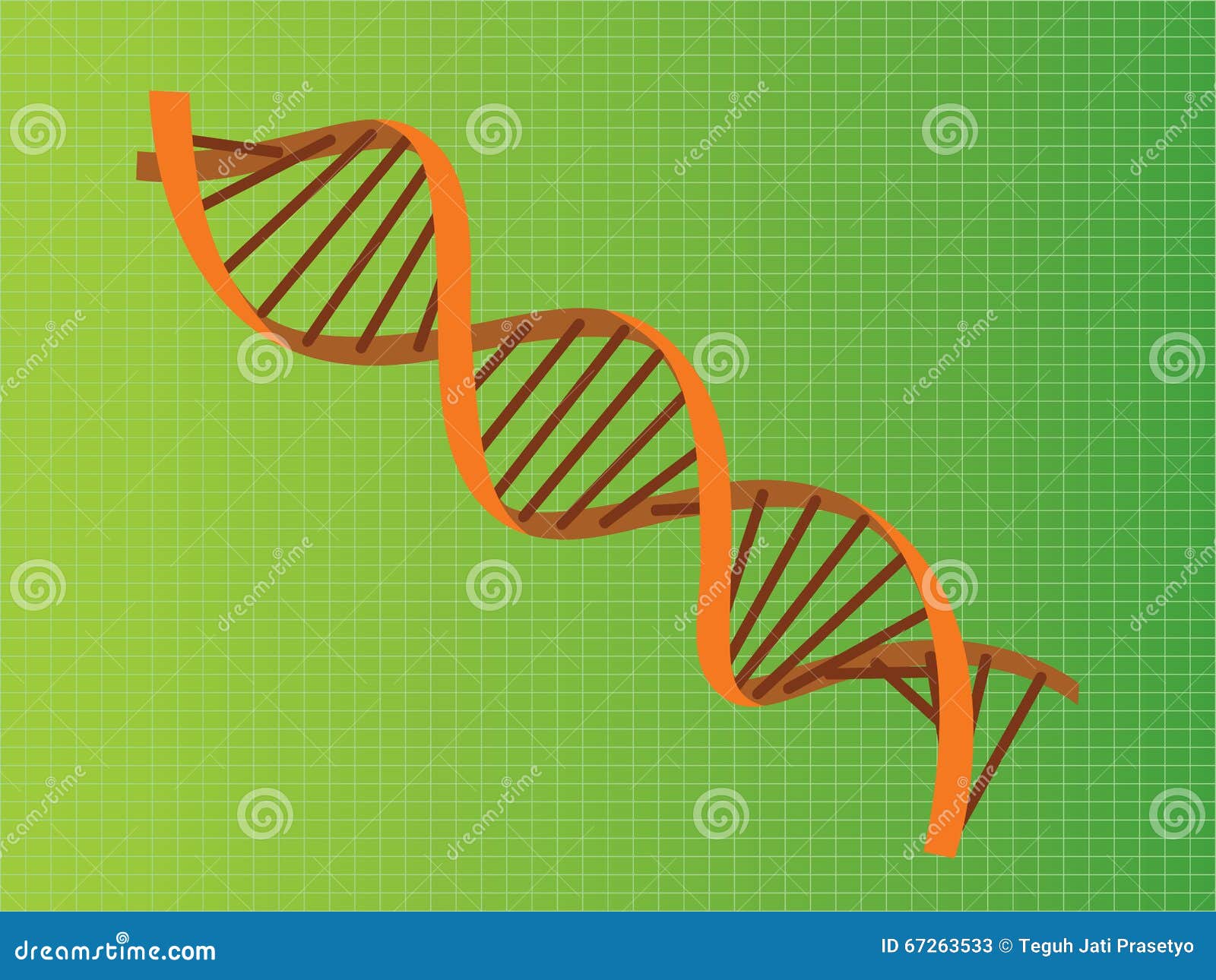 Dna Strand Orange Illustration Stock Vector - Illustration of bright ...