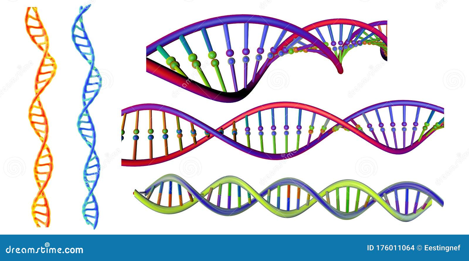 DNA Strand Set. Isolated on White Background Stock Illustration ...