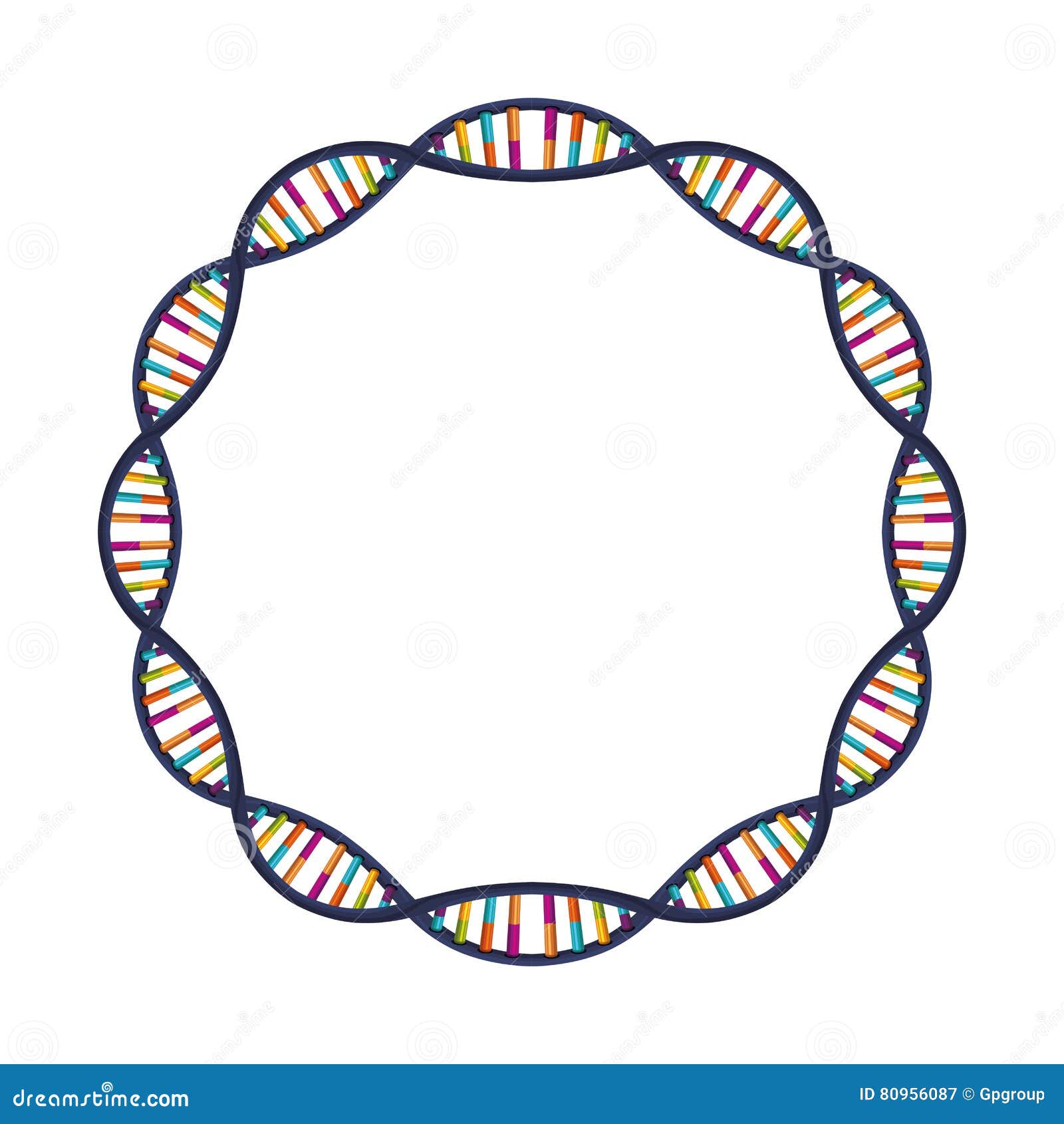 DNA Strand Sphere with Curves Stock Vector - Illustration of acid ...