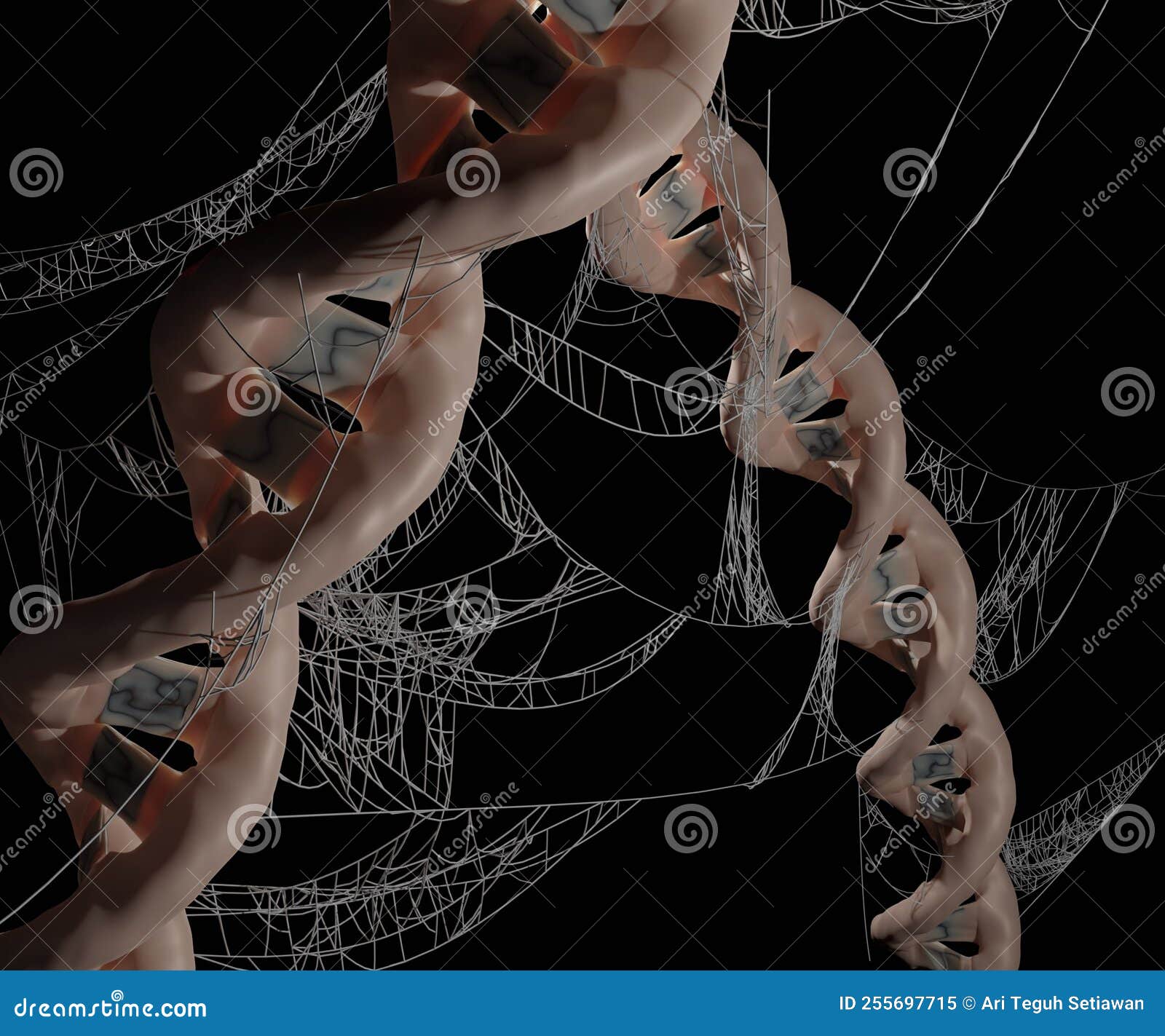 DNA Strand with Spider Web 3d Rendering Stock Illustration ...