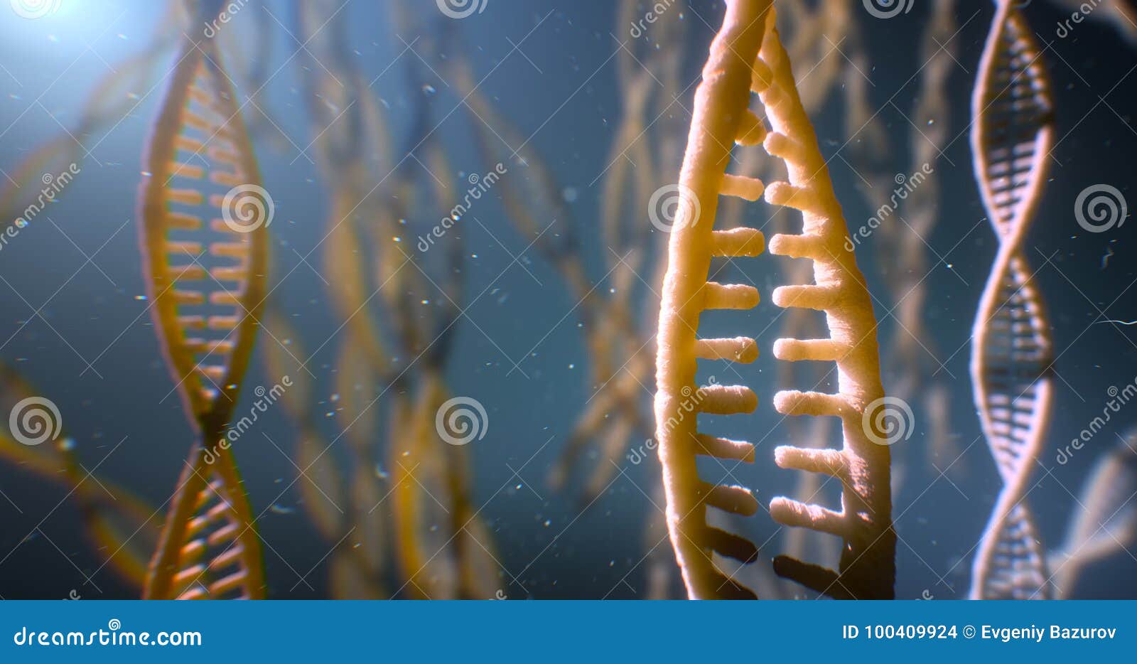 Dna Strand Structure Seamless Loopable Animation 8k 4k UHD Stock ...