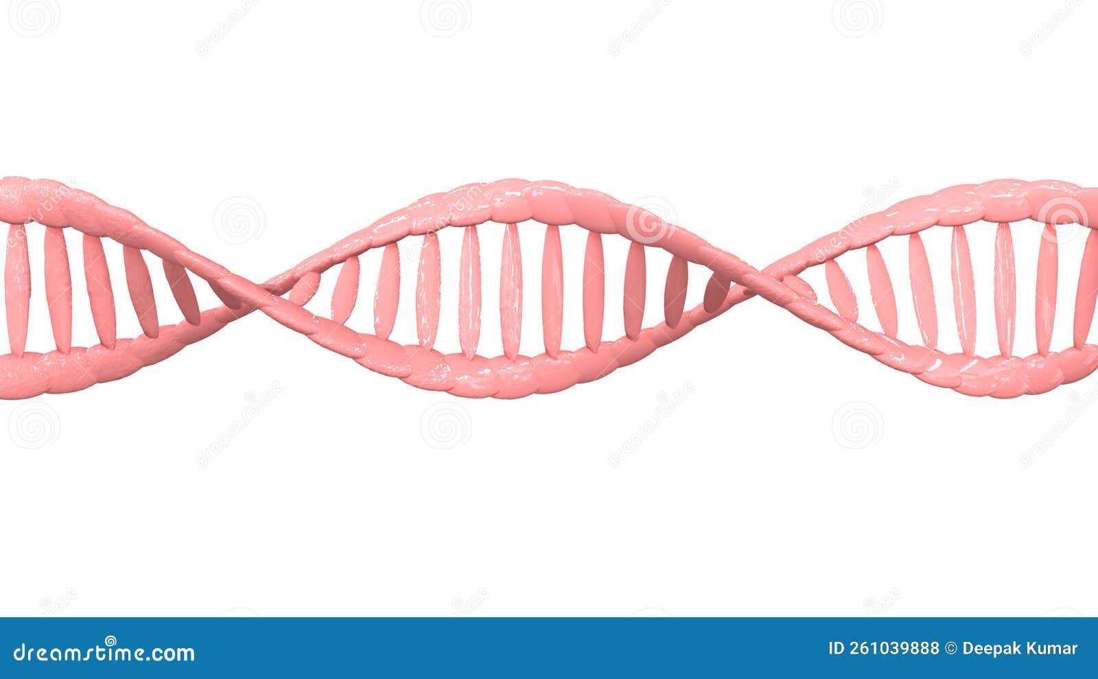 DNA Strand on White Background Stock Illustration - Illustration of ...