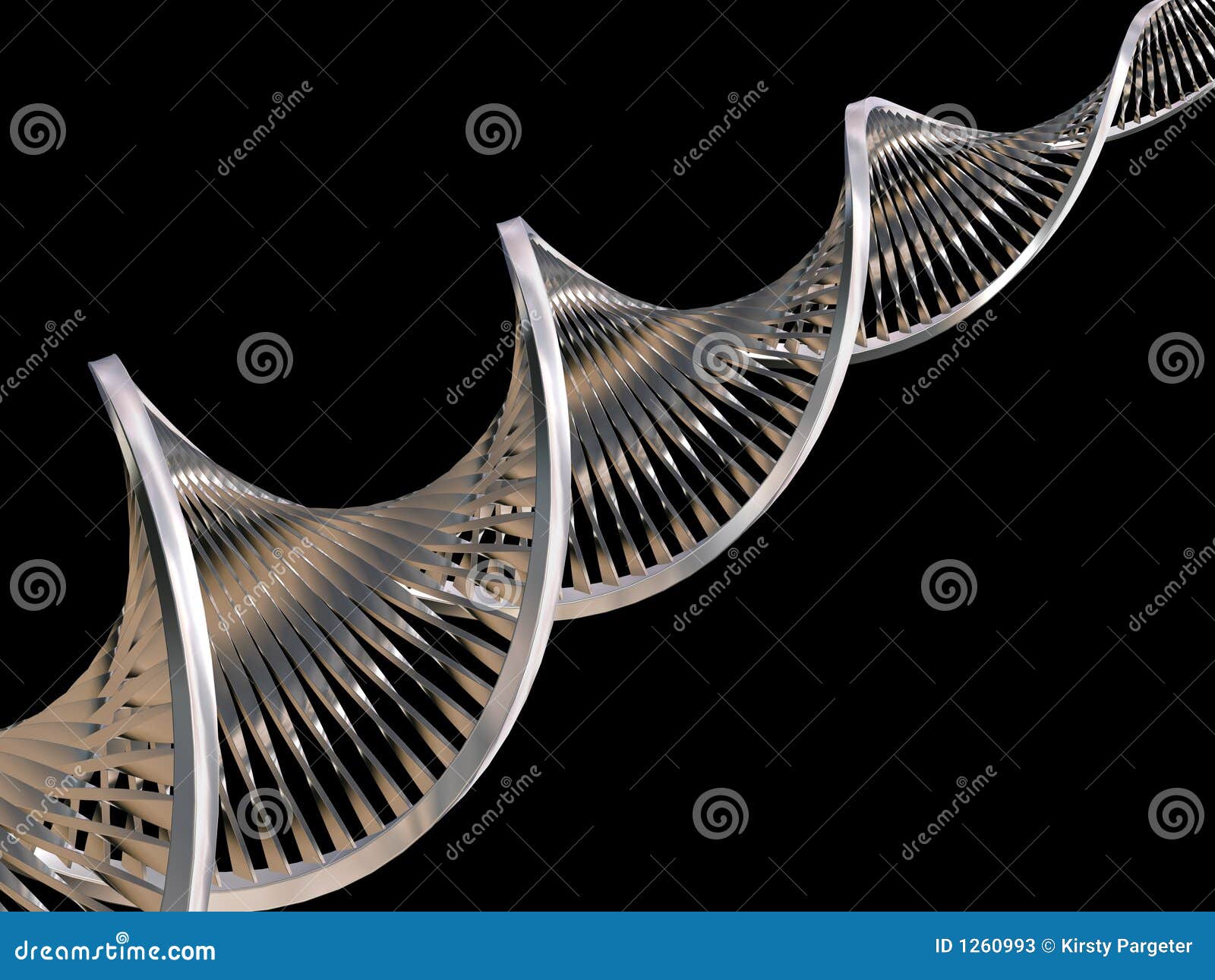 DNA Strands Royalty-Free Stock Photo | CartoonDealer.com #1260993