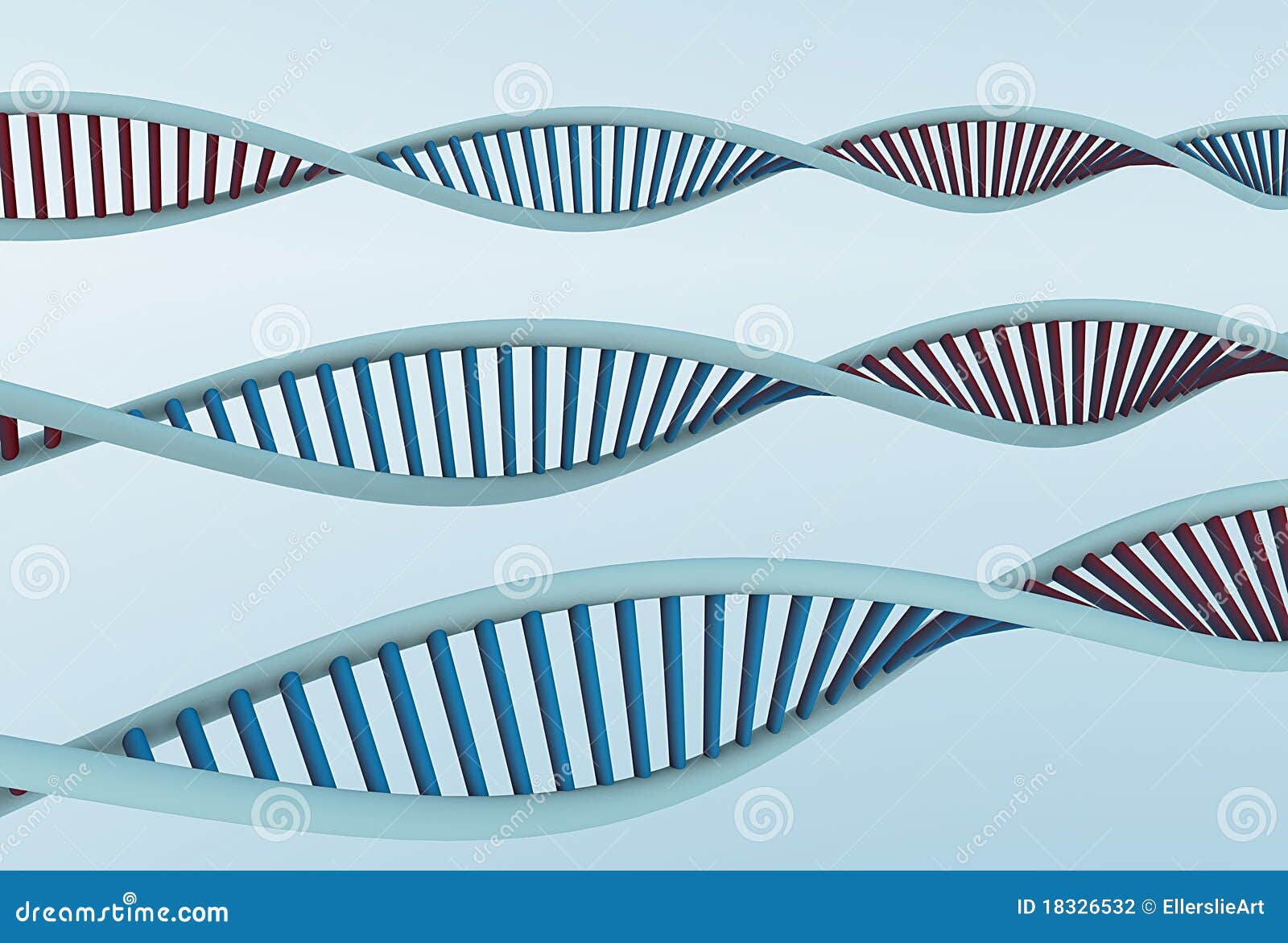DNA strands stock illustration. Illustration of body - 18326532