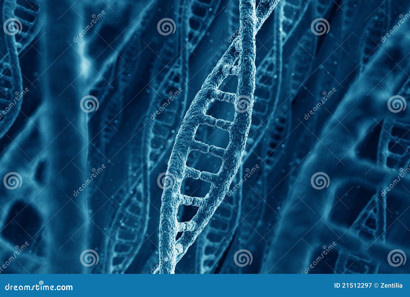 DNA strands stock illustration. Illustration of research - 21512297