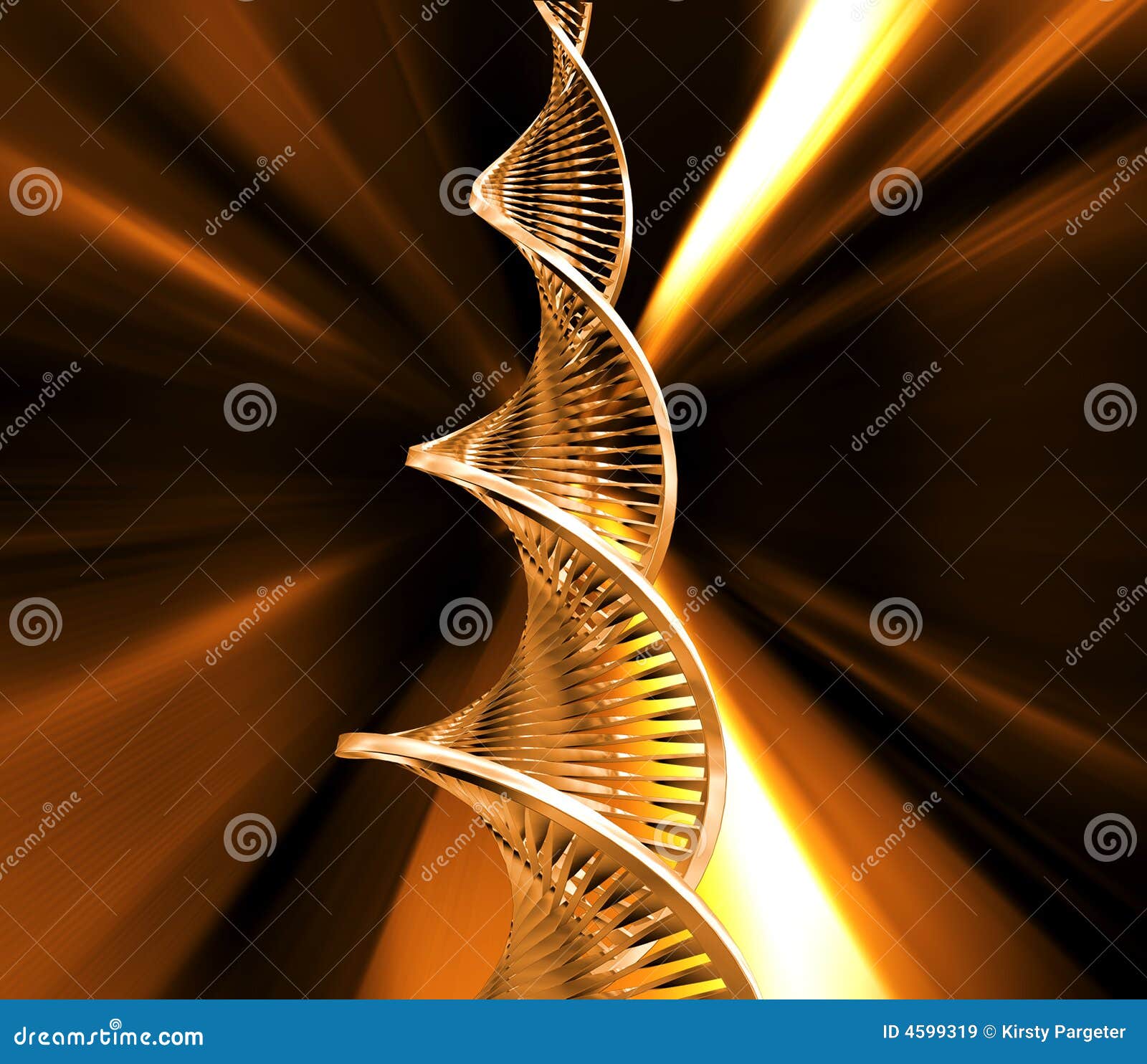 DNA Strands Royalty-Free Stock Photo | CartoonDealer.com #1260993