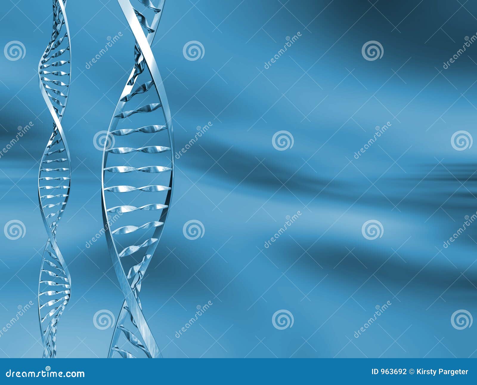 DNA Strands Royalty-Free Stock Photo | CartoonDealer.com #1260993