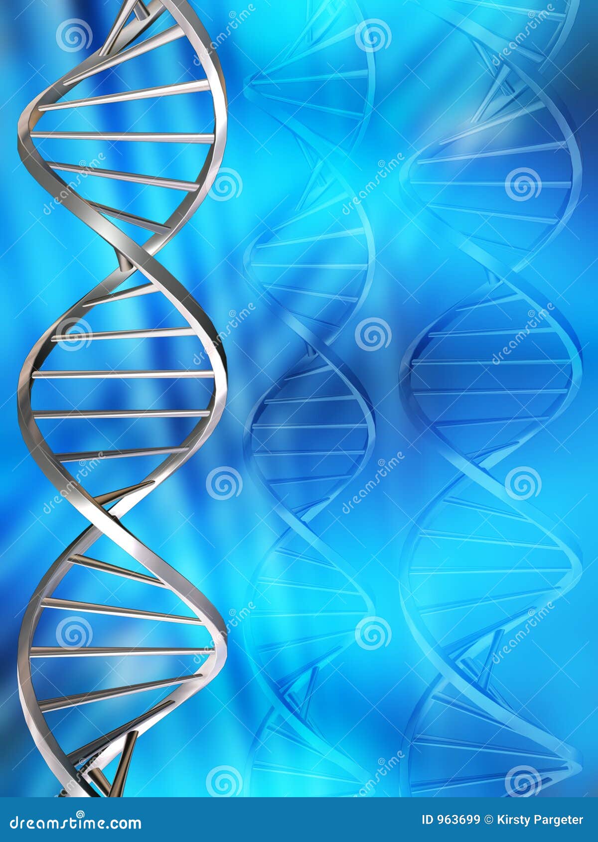 DNA Strands Stock Image | CartoonDealer.com #4599319