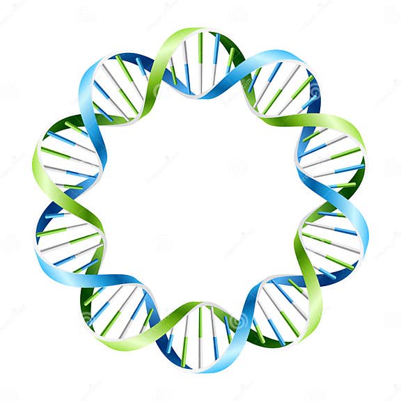 DNA Strands on circle stock vector. Illustration of helix - 11558374
