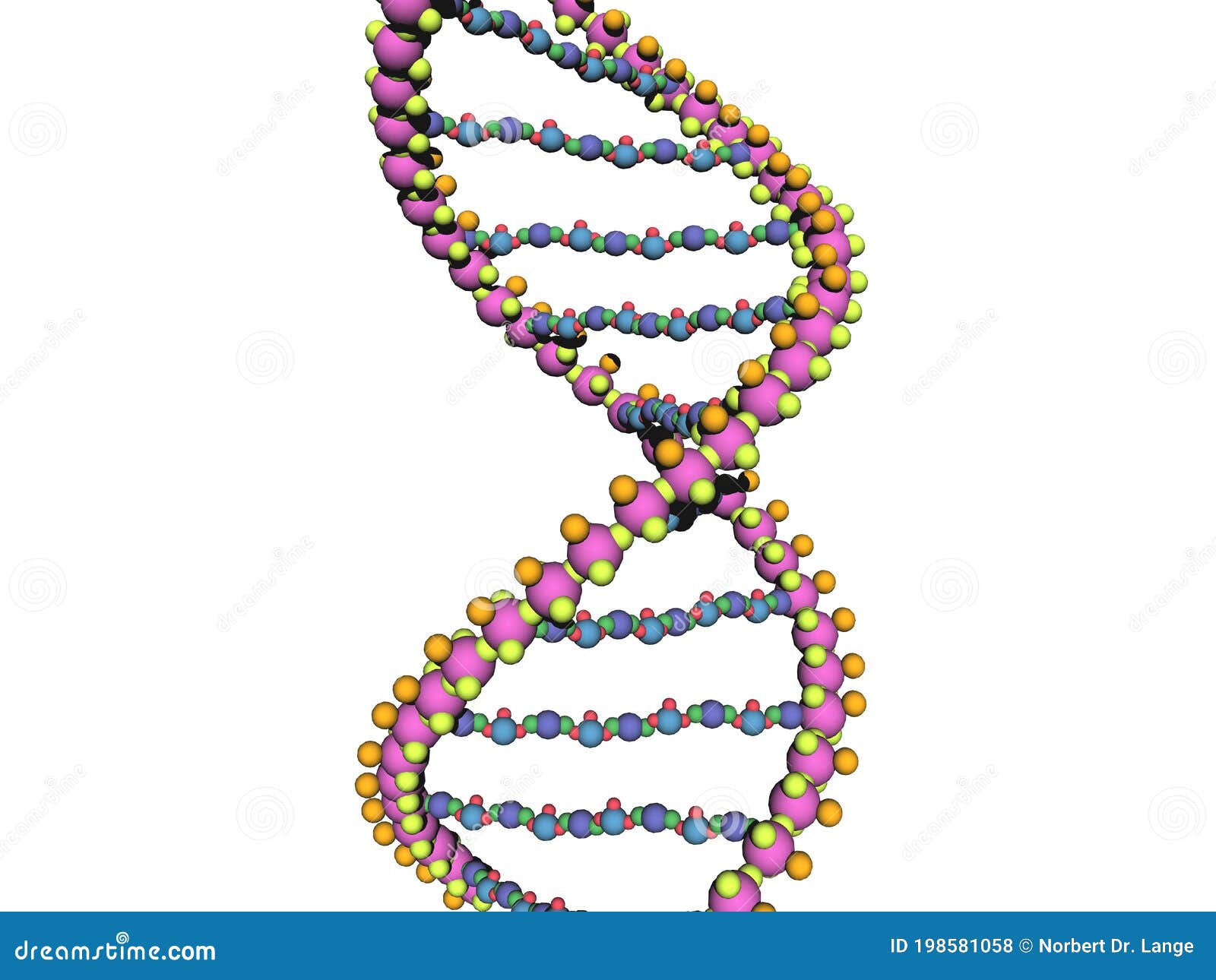 DNA Strands of Genetic Material Twisted Stock Illustration ...