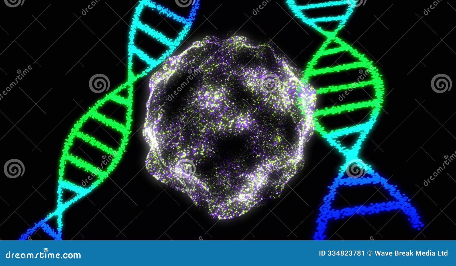 Scientific Image Of Bacteria Citrobacter, Gram-negative Bacteria ...