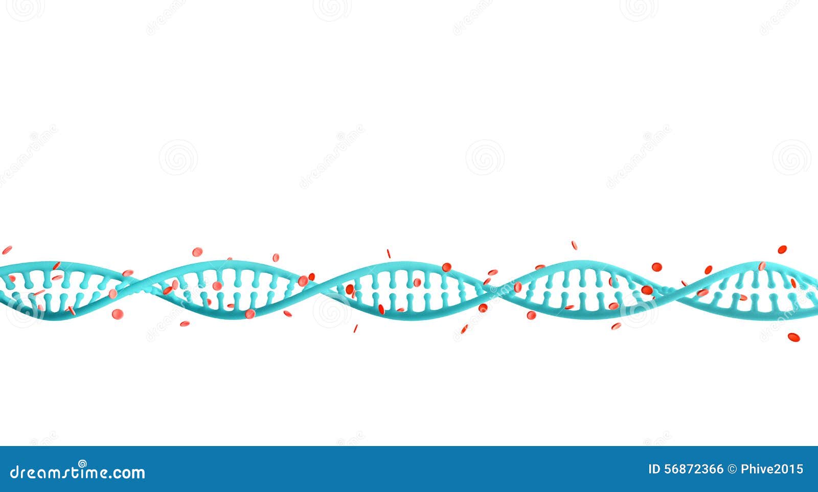 Hemoglobin DNA Strand Model With Bioluminescent Effects, Molecular ...