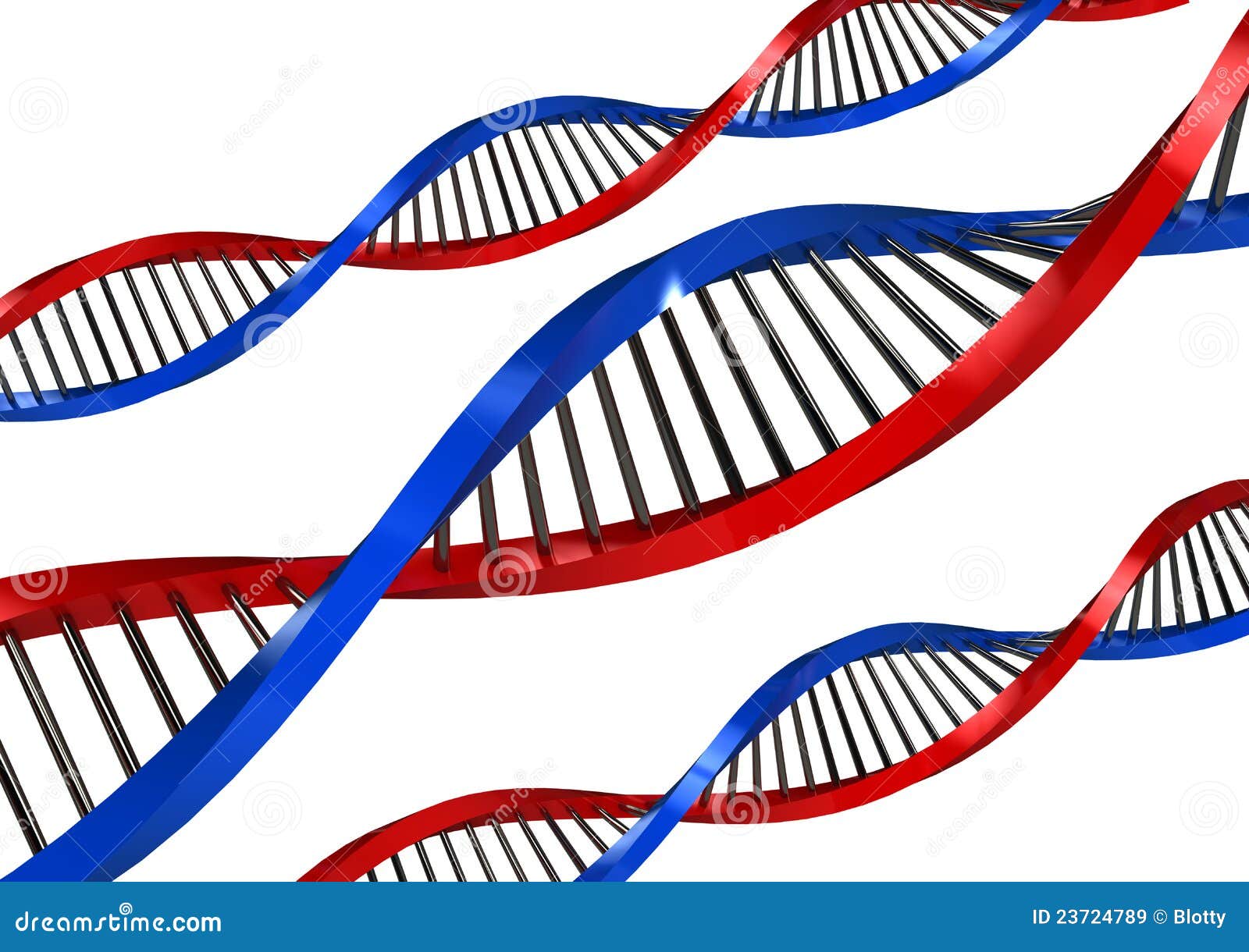 DNA Strands Over White Background Royalty Free Stock Images - Image ...