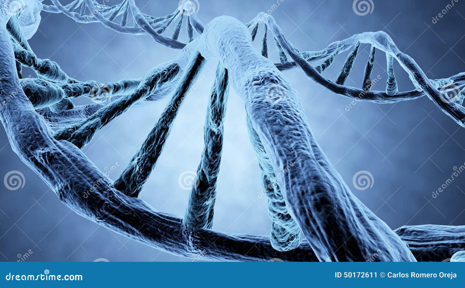DNA strands stock illustration. Illustration of design - 50172611