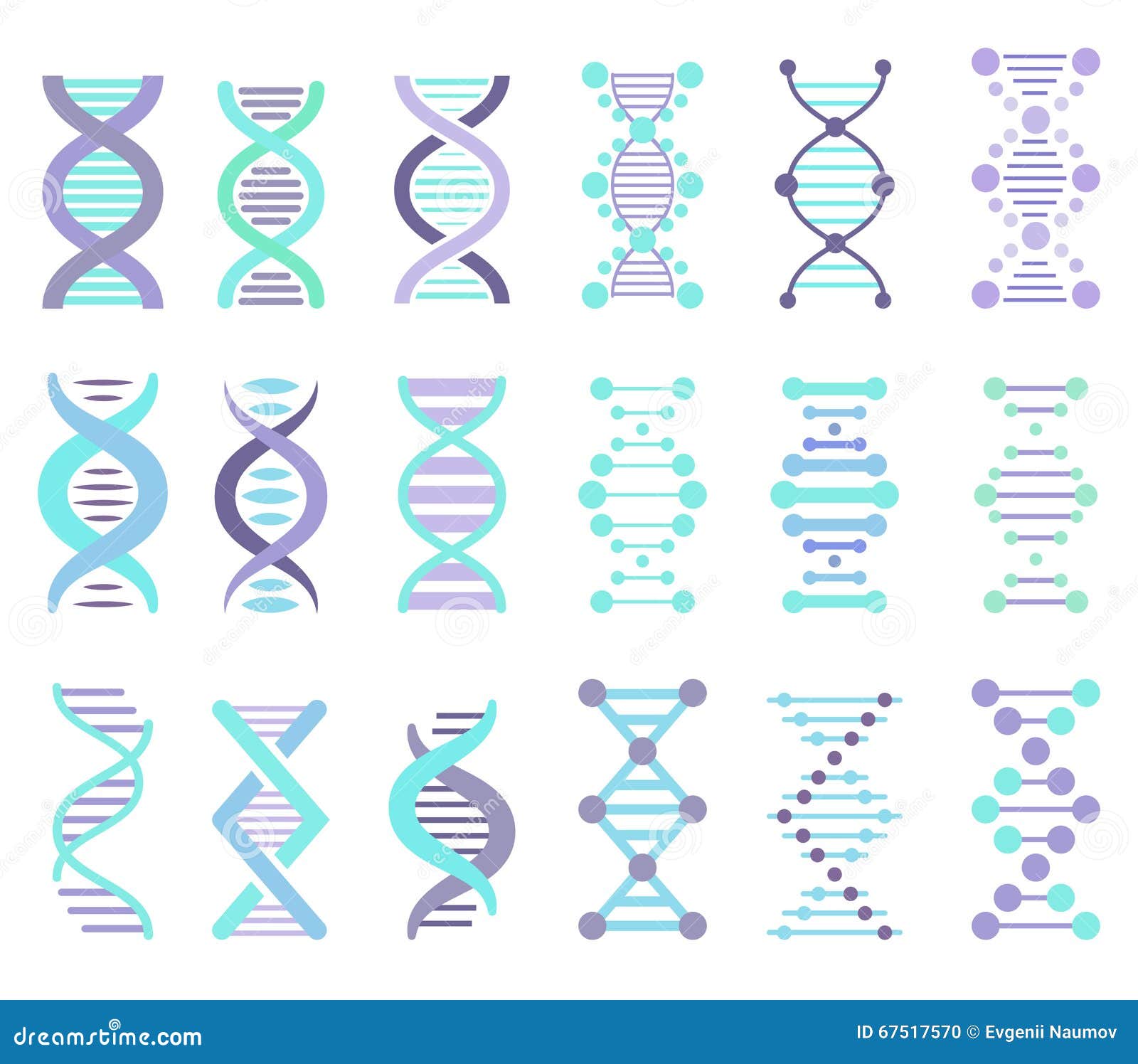DNA Strands Set stock vector. Illustration of curve, chemistry - 67517570