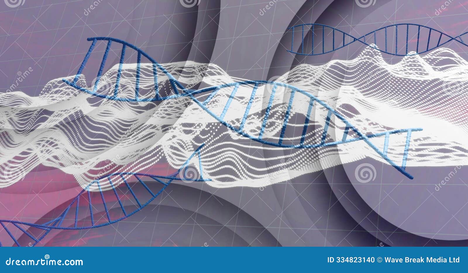 DNA Strands and Waveforms, Scientific Data Processing Image Stock Photo ...