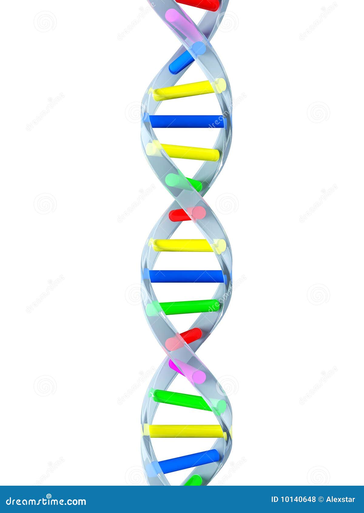 DNA-Strang Lizenzfreie Stockfotos - Bild: 10140648