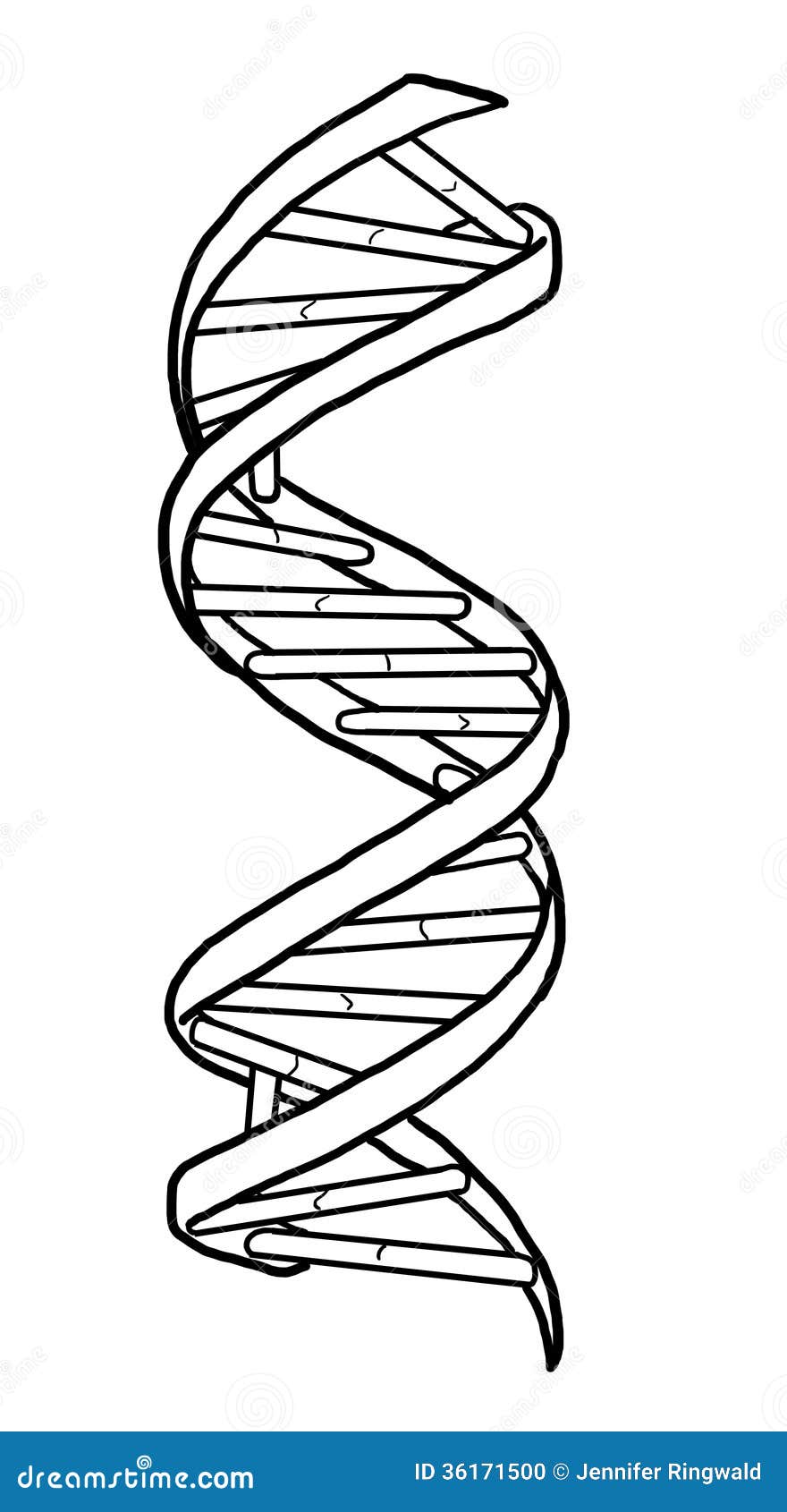 DNA-Strang stock abbildung. Illustration von diagramm - 36171500