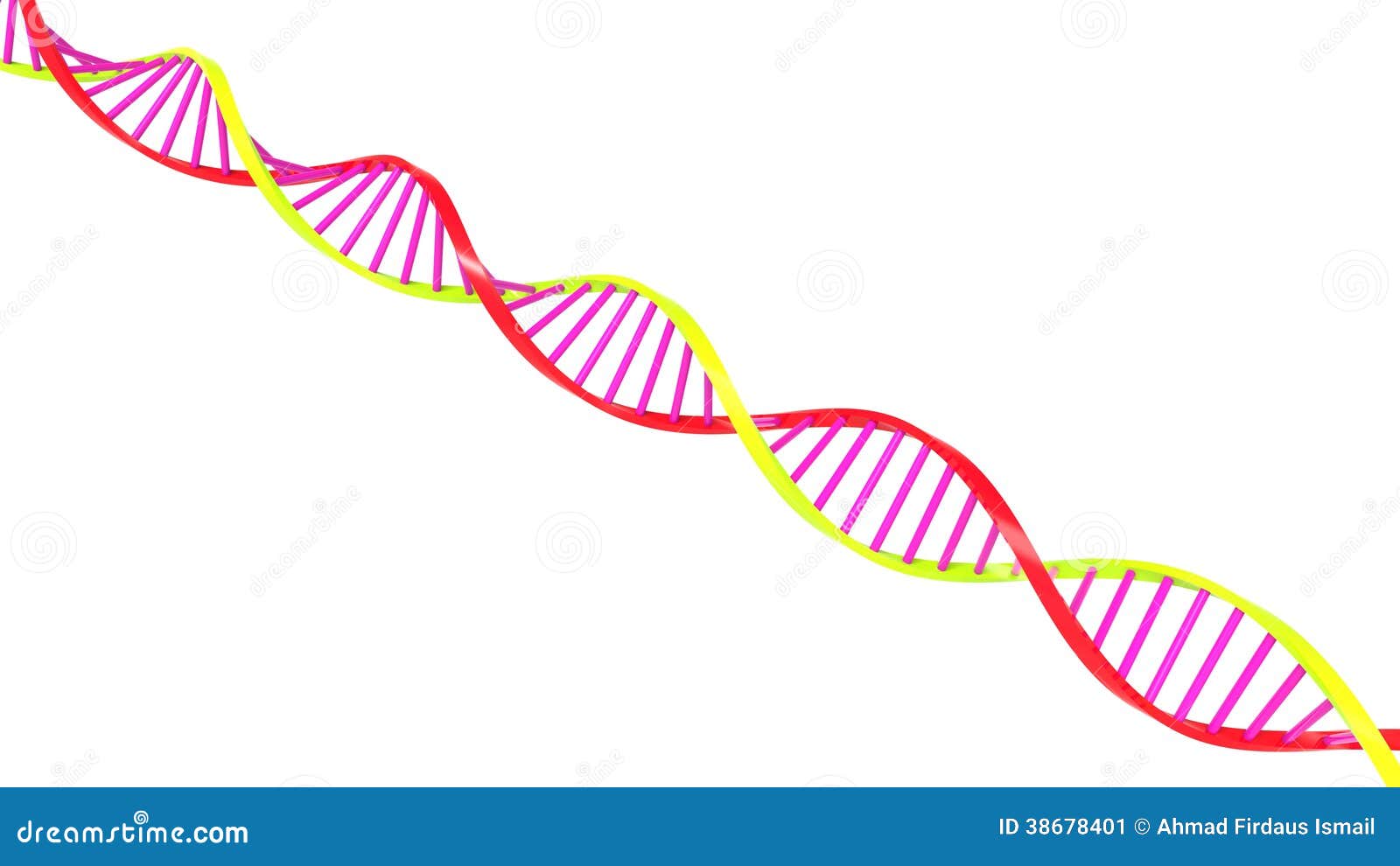 DNA-Strang stock abbildung. Illustration von schmerz - 38678401