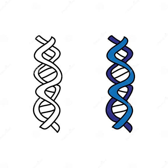 DNA string stock vector. Illustration of doodle, biology - 302062556