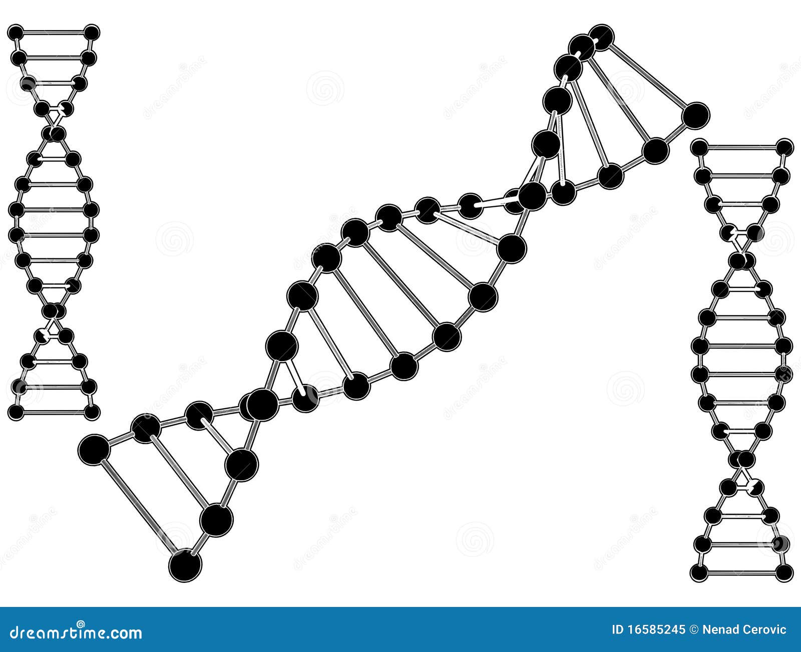 DNA String Vector 01 stock vector. Illustration of engineering - 16585245