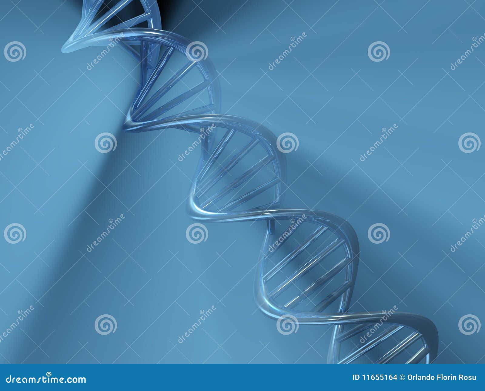 DNA structure stock illustration. Illustration of organism - 11655164