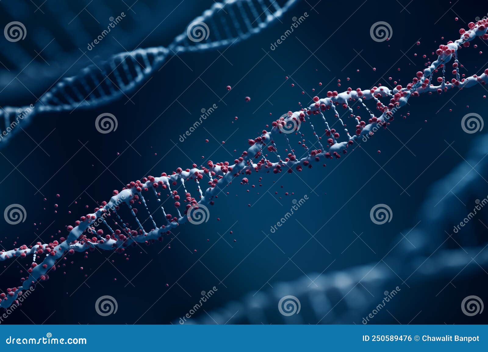 DNA Structure Blood Red Circle Round Spiral Ring Blue Deep Shape String ...
