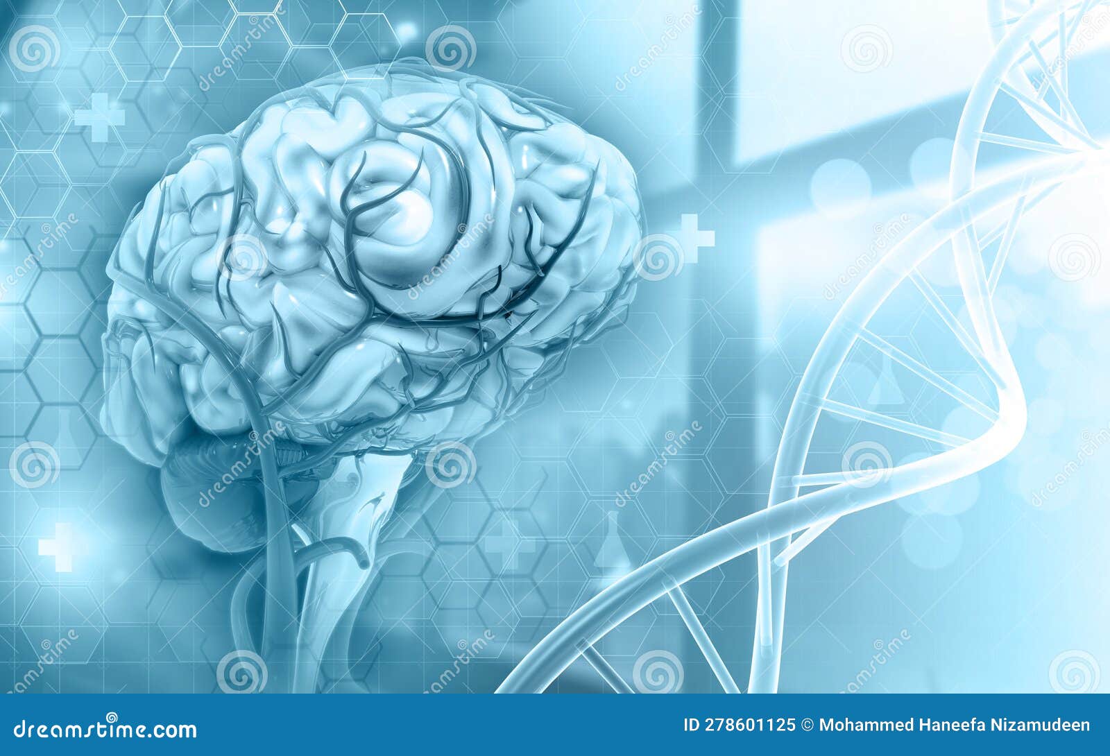 DNA Structure and Brain on Science Background Stock Illustration ...