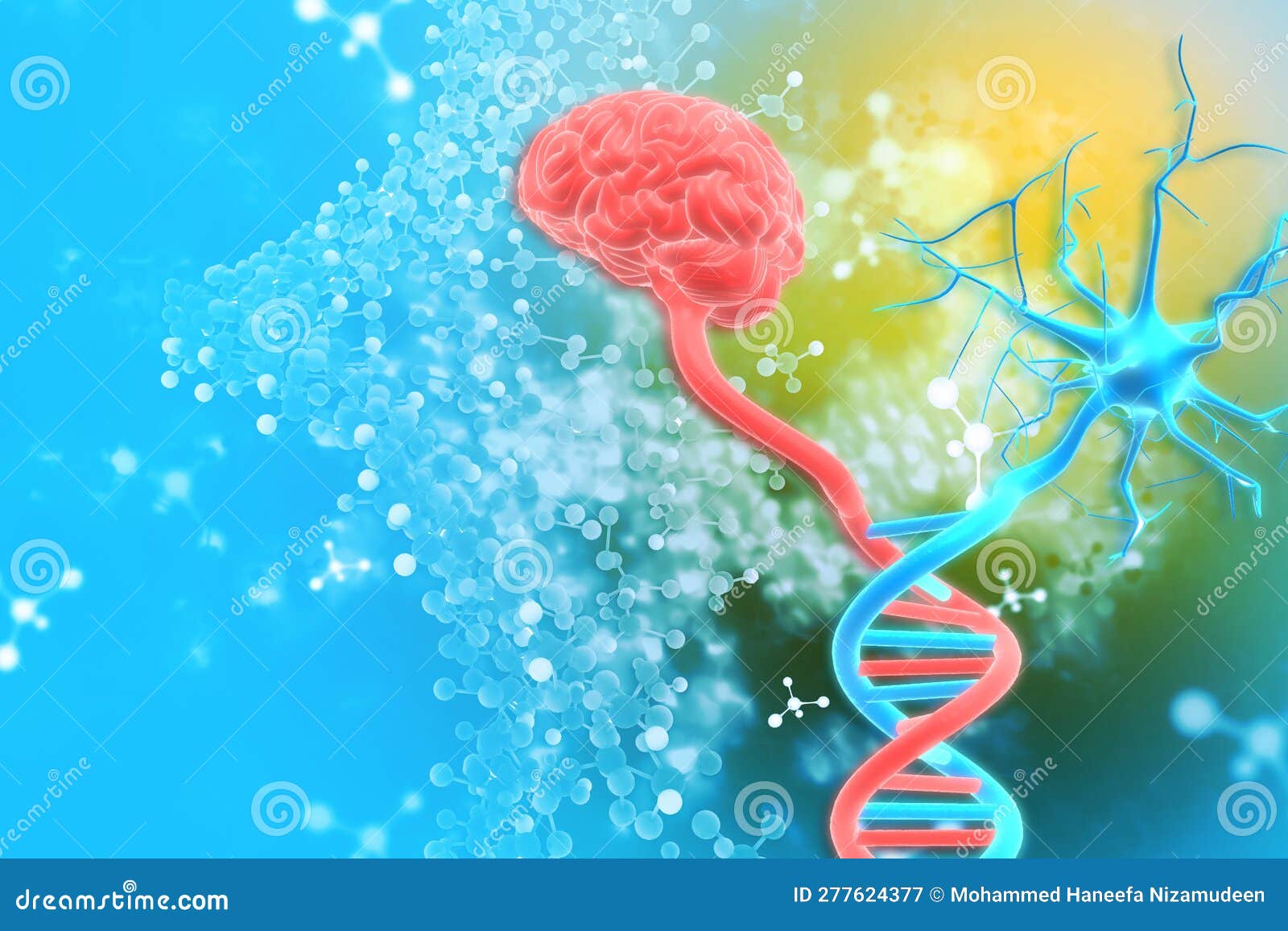 DNA Structure and Brain on Scientific Background Stock Illustration ...