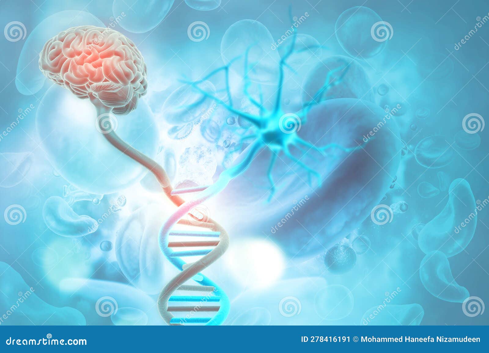 DNA Structure and Brain on Scientific Background Stock Illustration ...