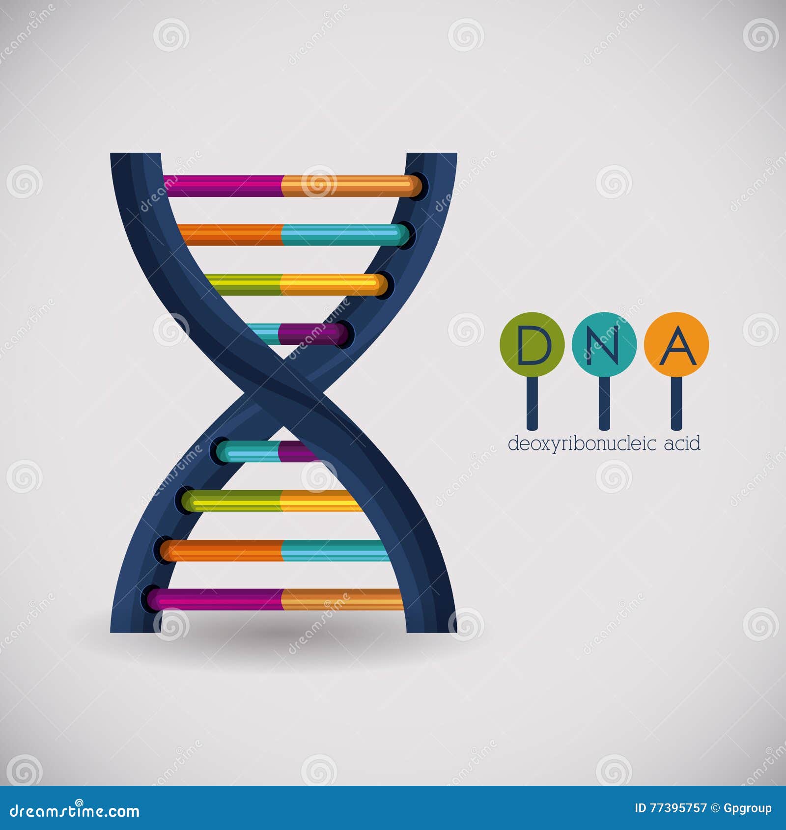 Dna Structure Chromosome Design Stock Vector - Illustration of genome ...