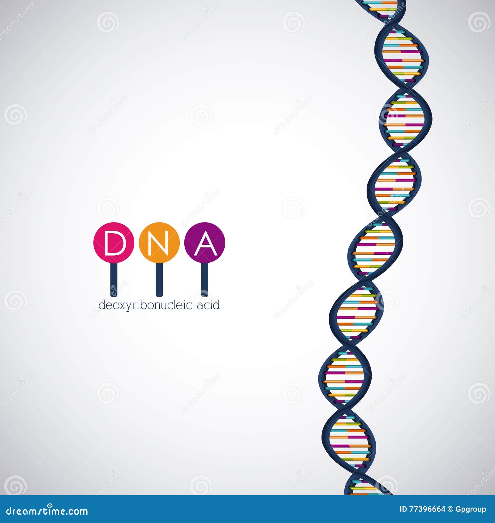 Biology Dna Structure