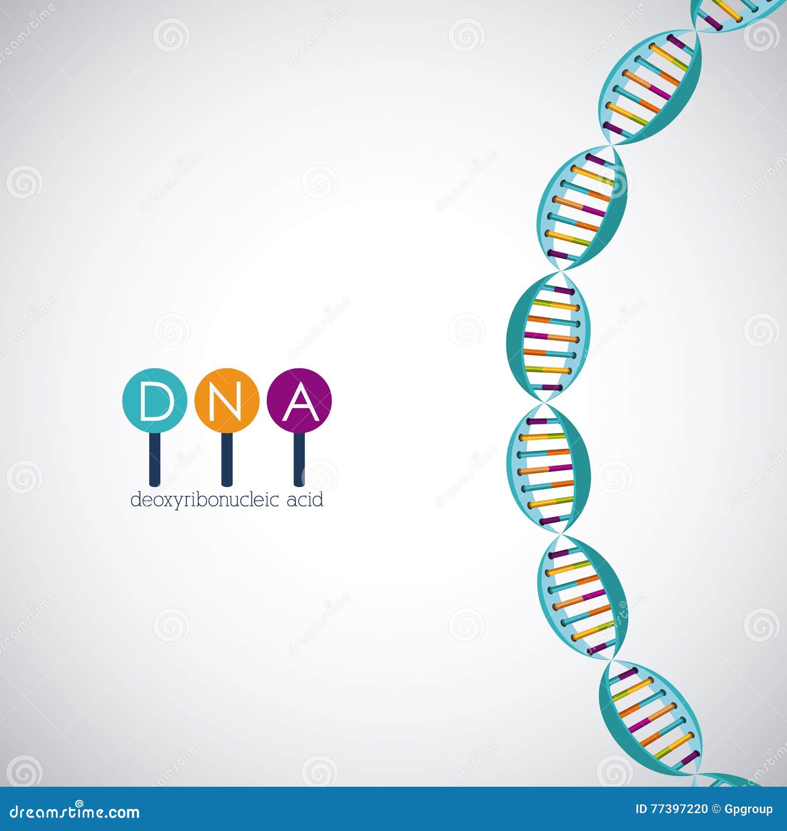 Dna Structure Chromosome Design Stock Vector - Illustration of ...