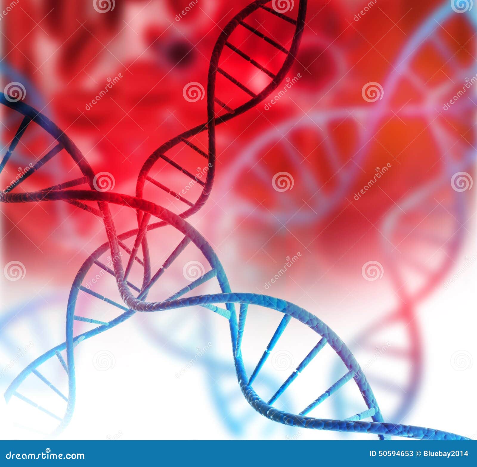 DNA structure stock illustration. Illustration of life - 50594653