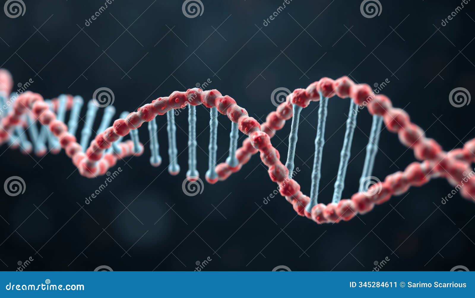 DNA Structure: an in-Depth Look at Genetic Information Stock ...