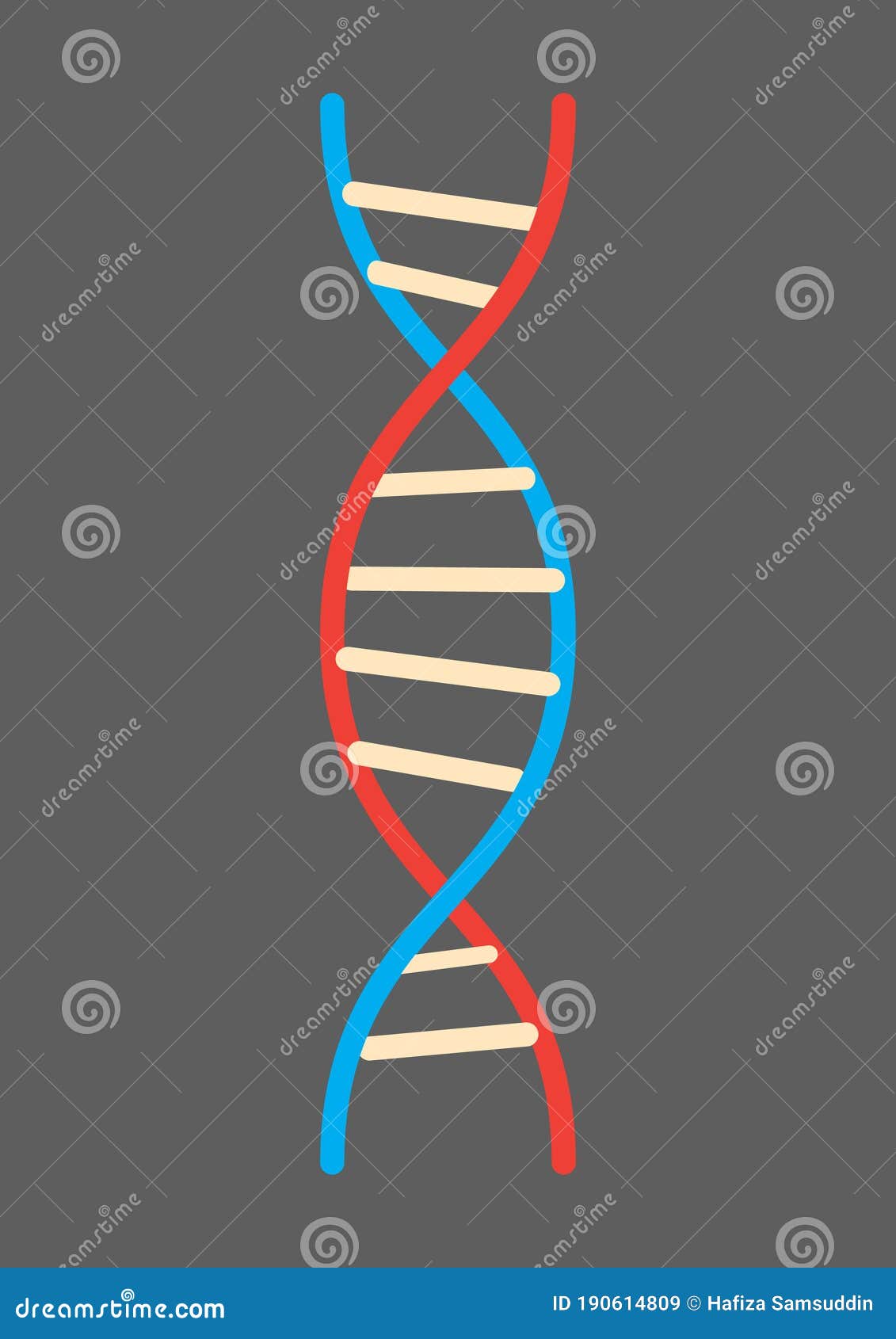 Dna Structure Diagram. Vector Illustration Decorative Design Stock ...