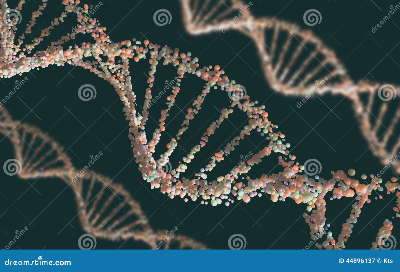 DNA Structure stock image. Image of atom, molecular, gene - 44896137