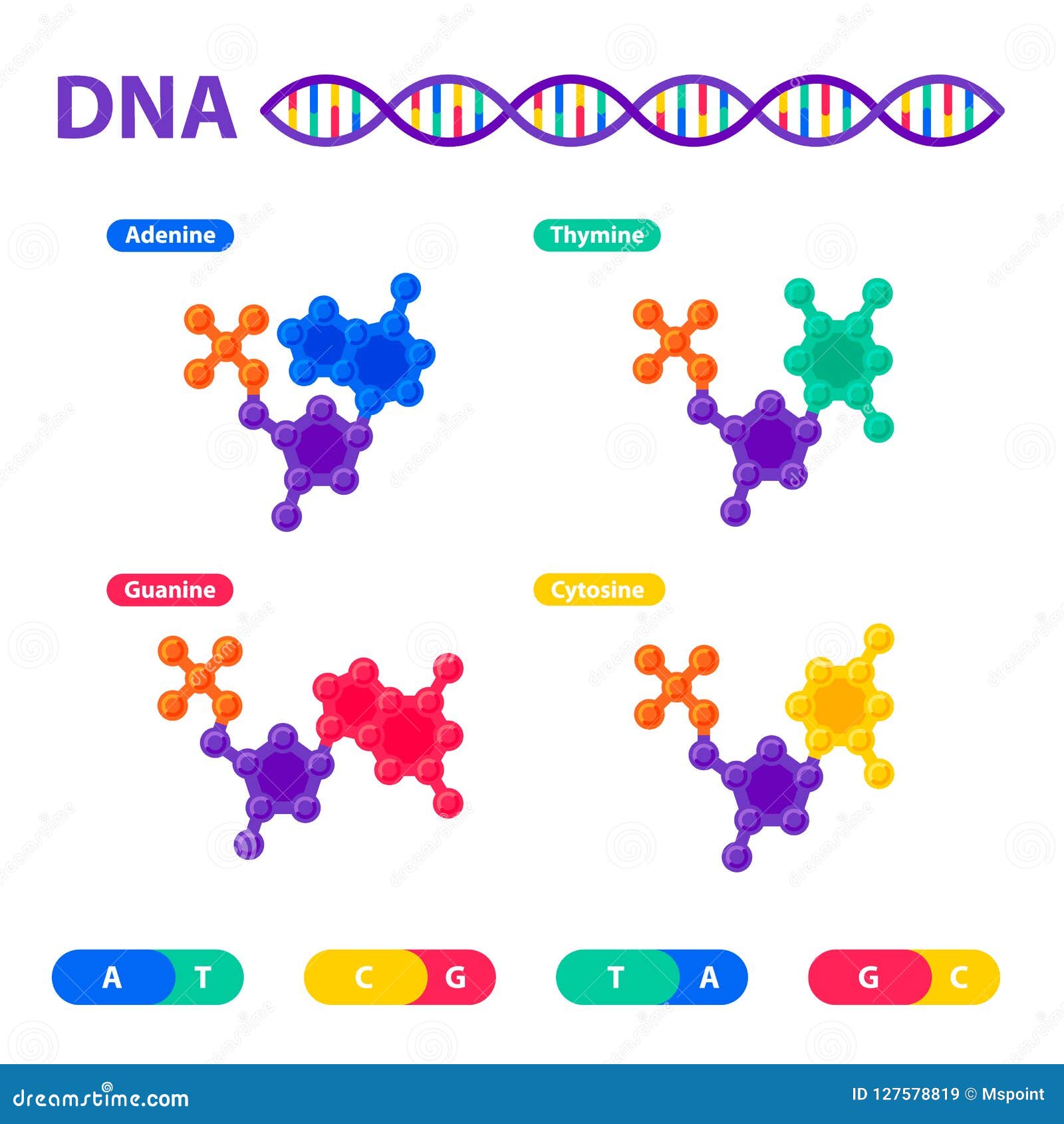DNA Structure, Genome Sequencing Concept. Nanotechnology And ...