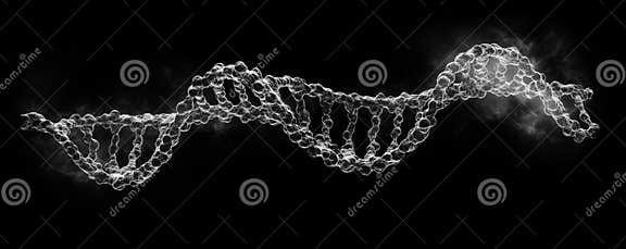 DNA Structure Highlighted for Darwin Day Stock Image - Image of ...