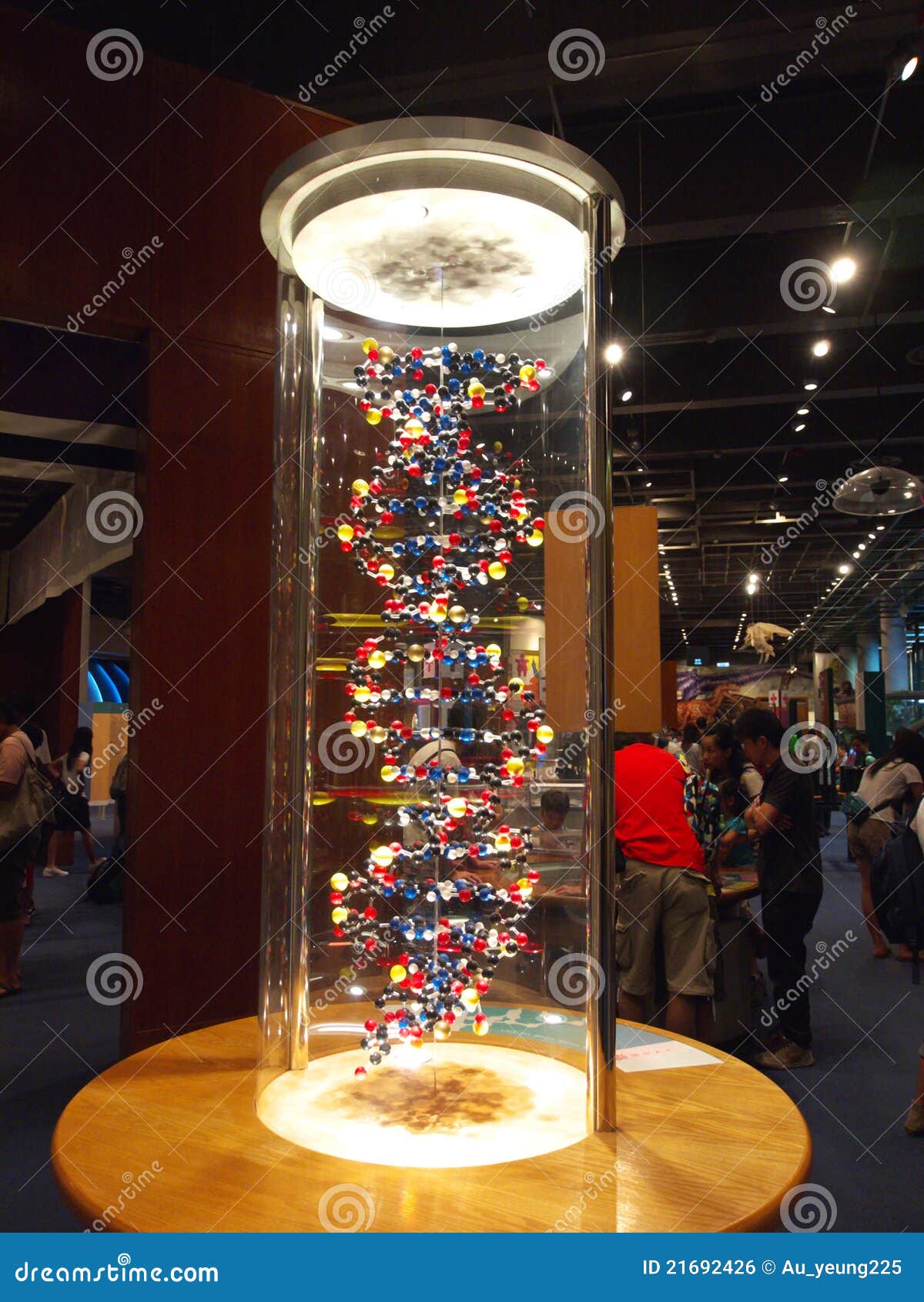 Dna Structure in Hong Kong Science Museum Editorial Photo - Image of ...