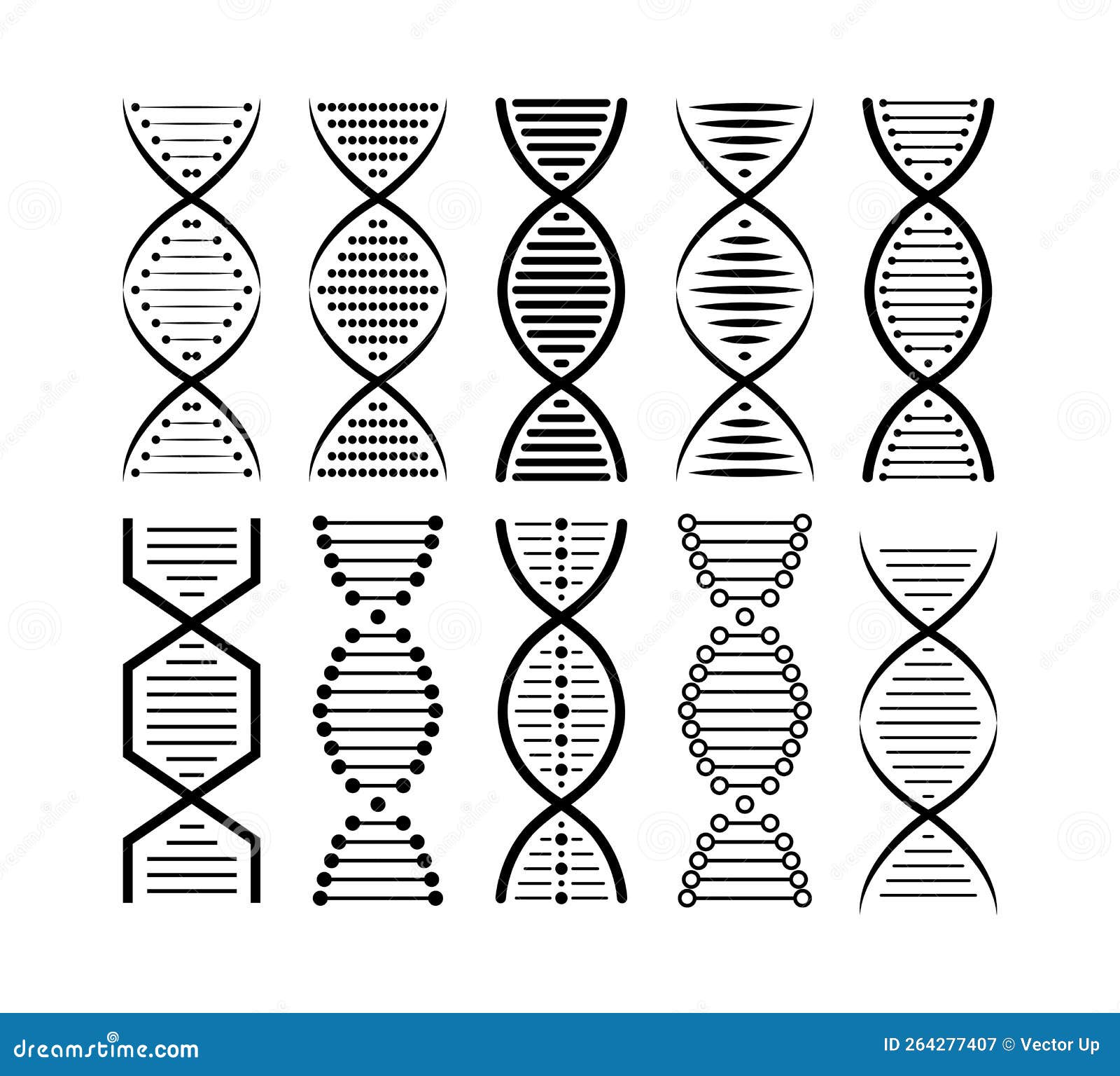 DNA Structure Icon Set. Structure Molecule and Cell, Chromosome ...