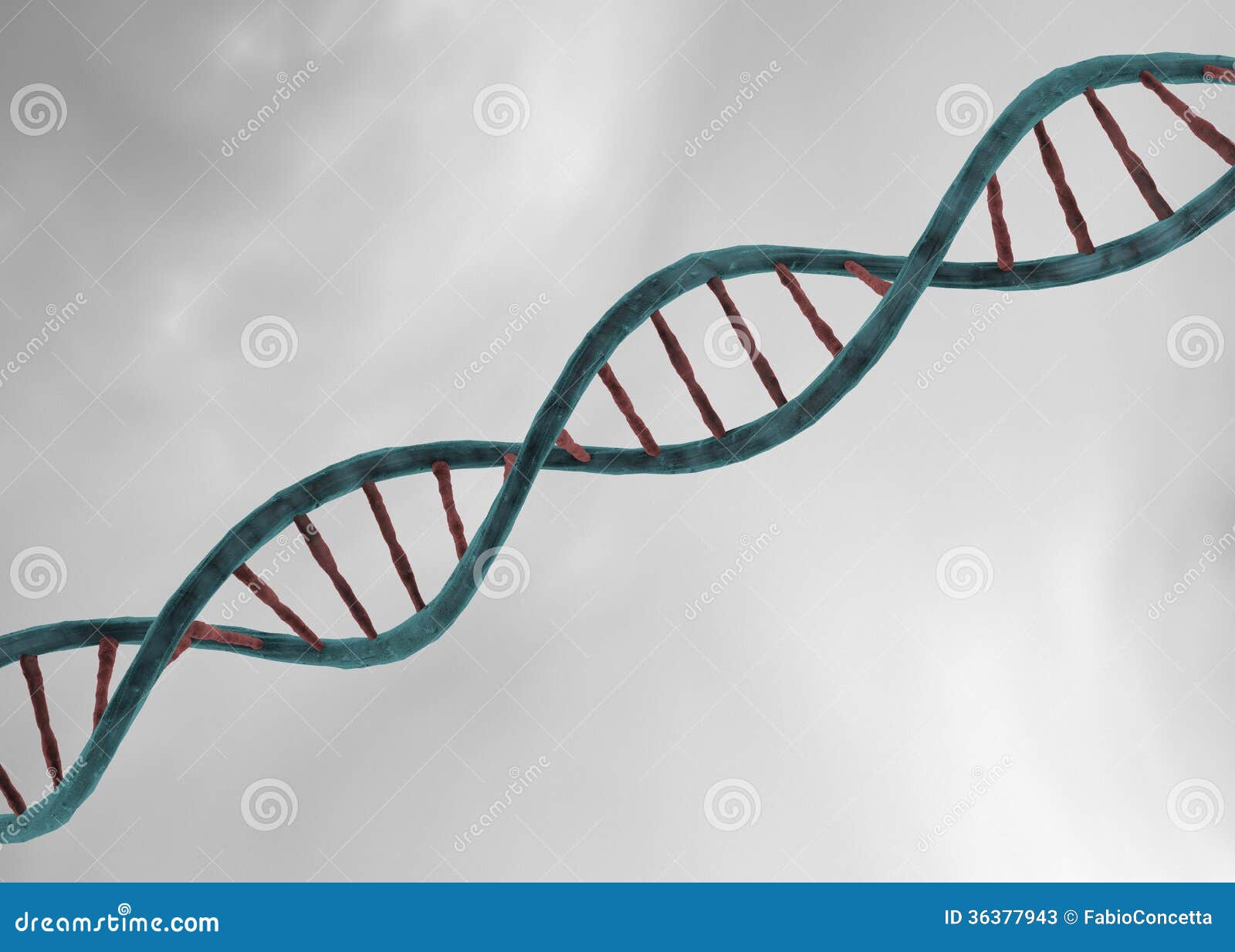 Dna structure stock image. Image of genetics, structure - 36377943